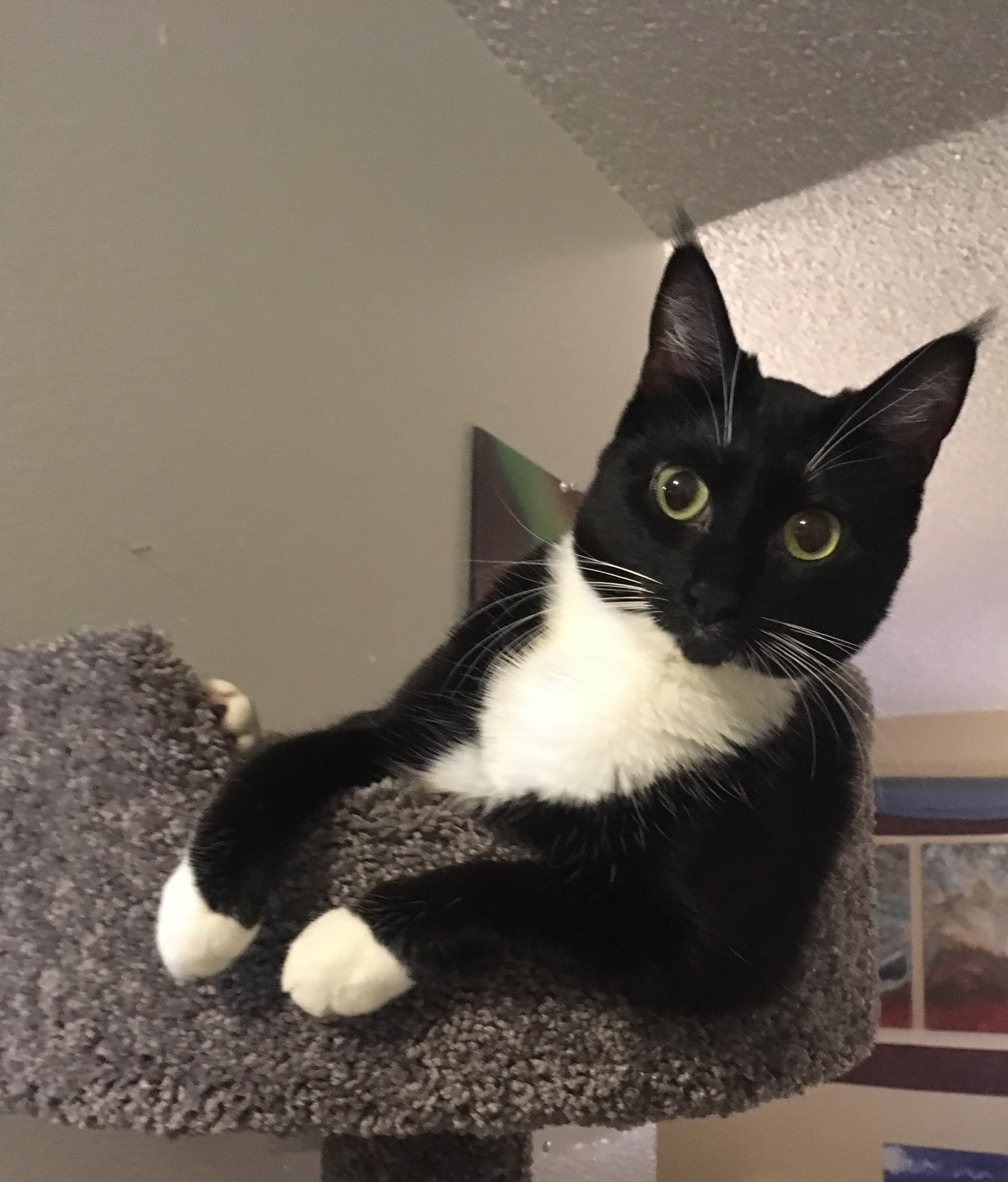 Making Music from Images With Python - Victor Murcia